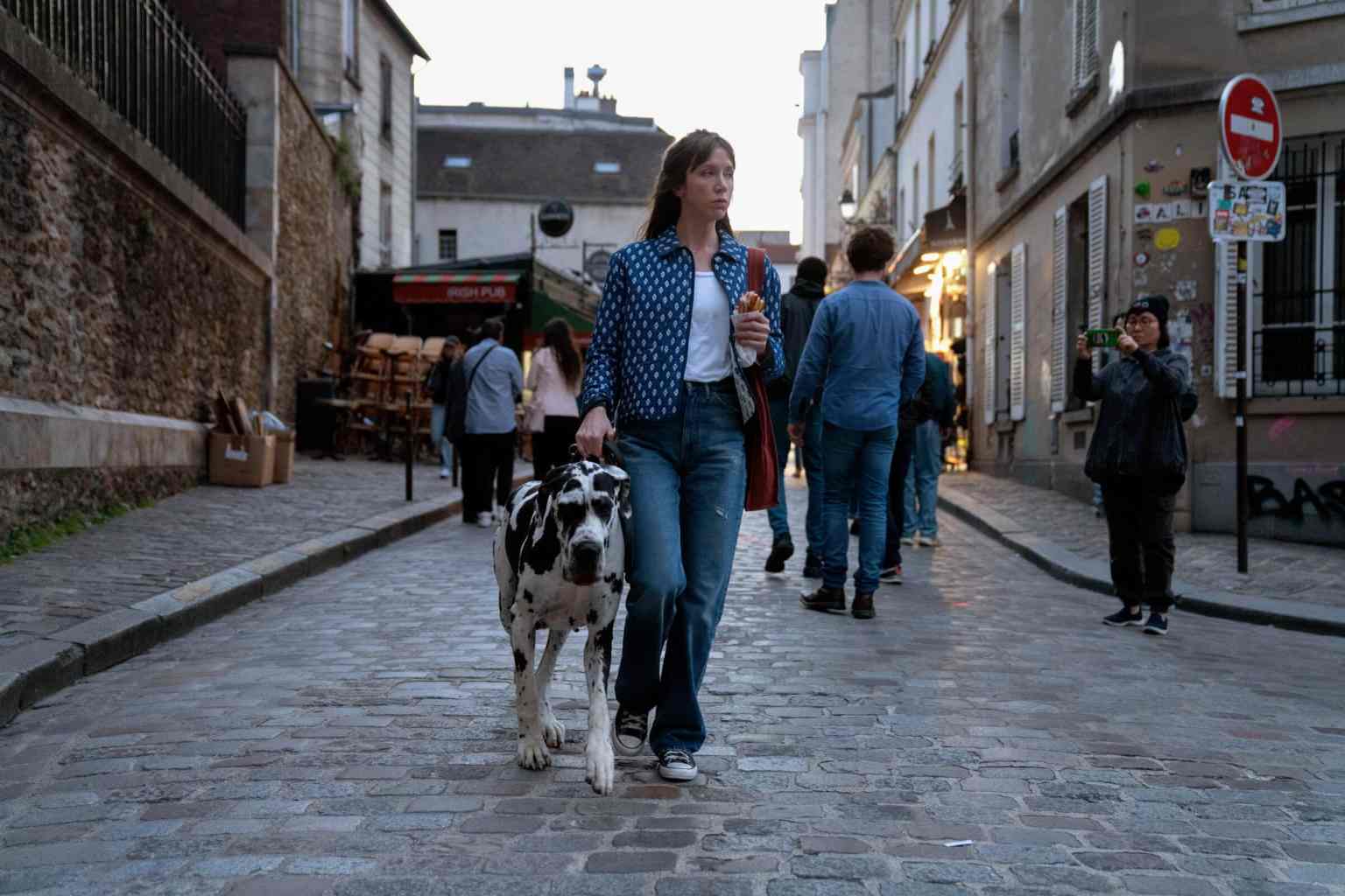 French Lover recap and ending explained – Netflix romantic drama