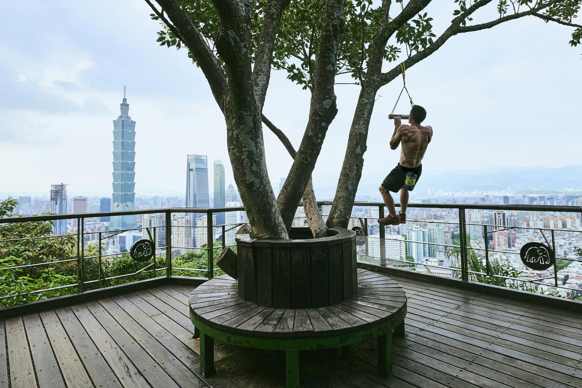 Alex Honnold Skyscraper Live: Netflix Special to Free Solo Taipei 101 ...